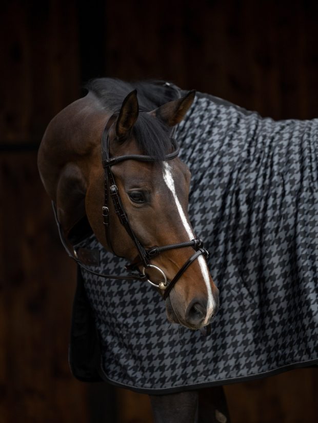 Clasica Brown braided bridle with an English noseband. - Equus